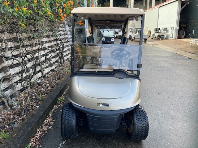 EZGO RXV GOLF CART Electric 2020